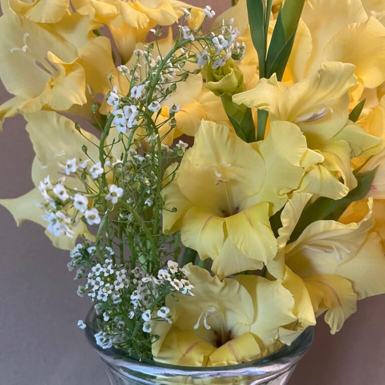 30 Popular Types Of Gladiolus Pictorial Guide