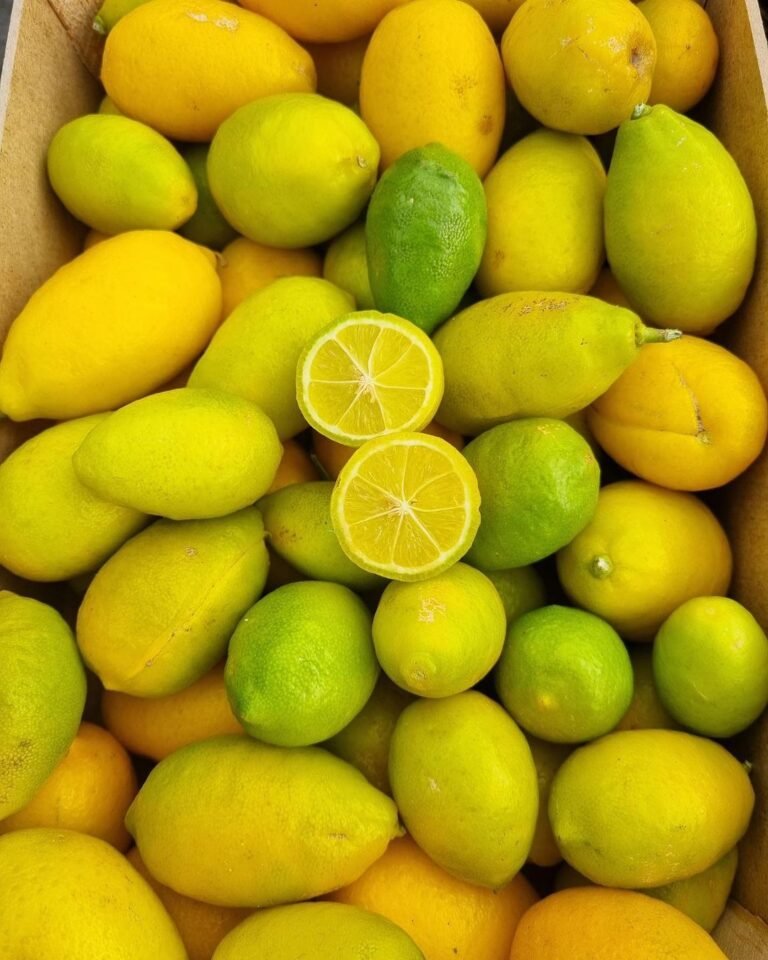 20 Popular Types Of Citrus Pictorial Guide