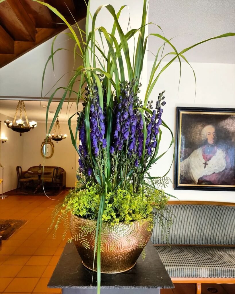15 Popular Types Of Aconitum Pictorial Guide