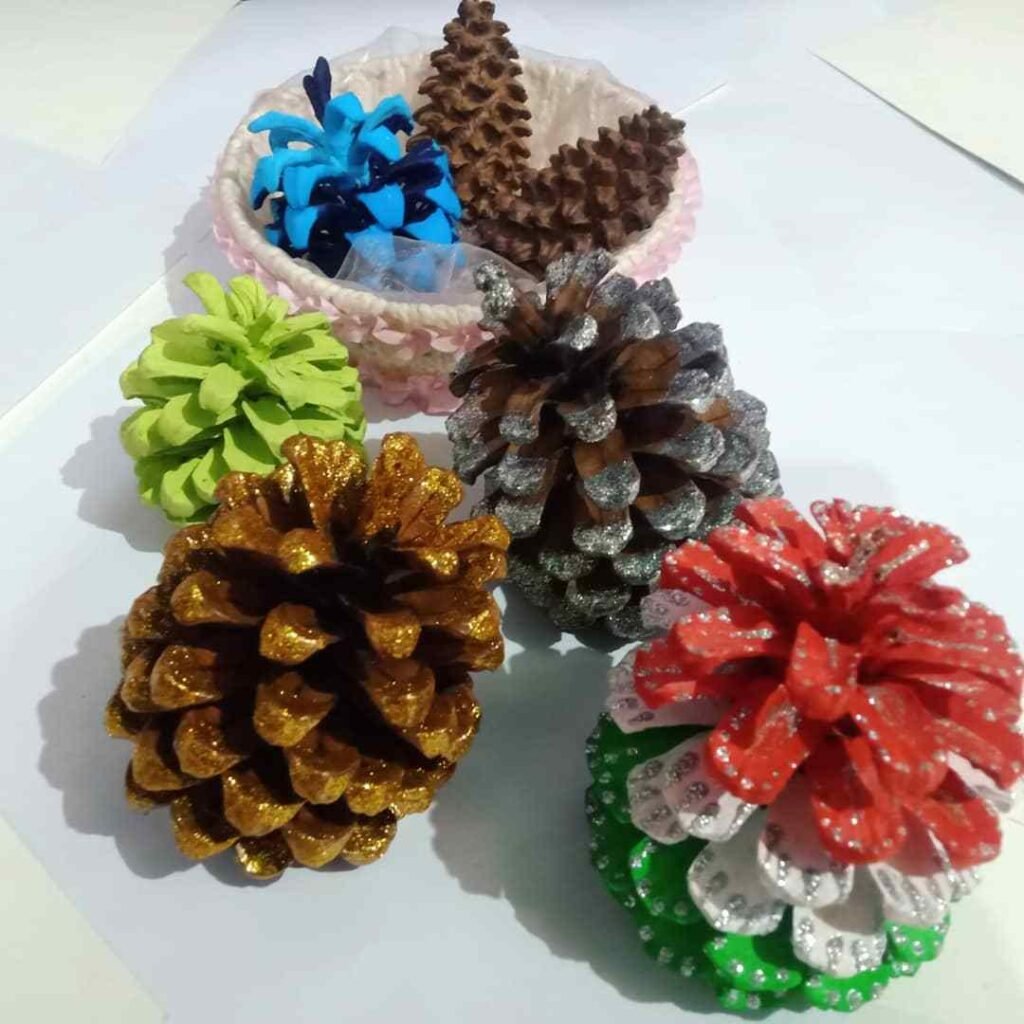 40 Popular Types Of Pinus Pictorial Guide