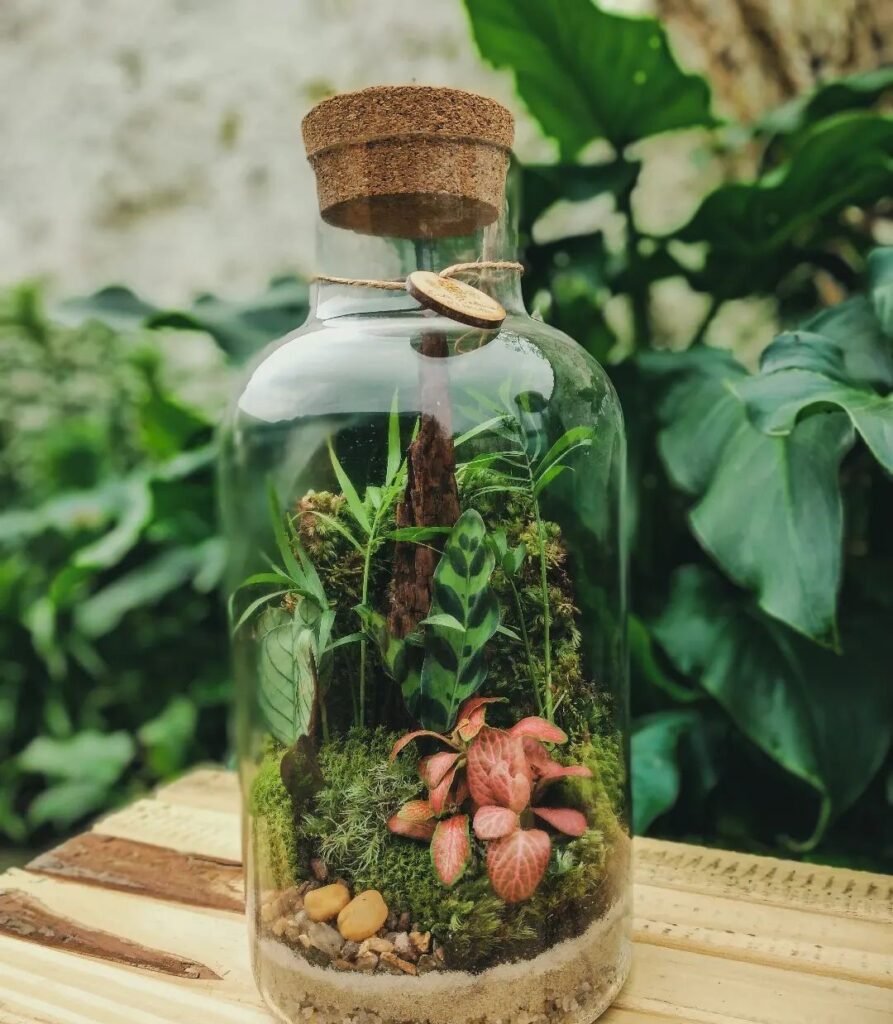 DIY Terrariums: Learn How To Create Your Own Indoor Garden